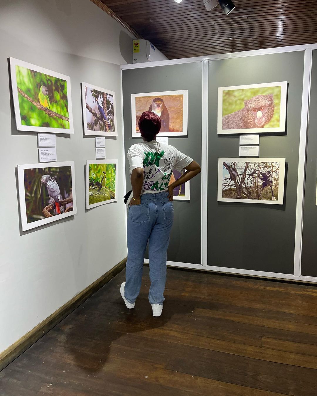 10 Reasons To Visit Kakum National Park