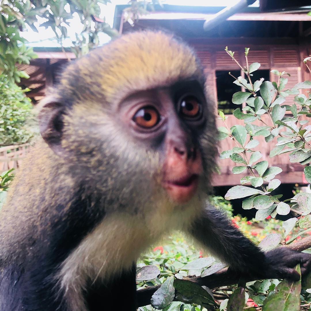 10 Reasons To Visit Kakum National Park