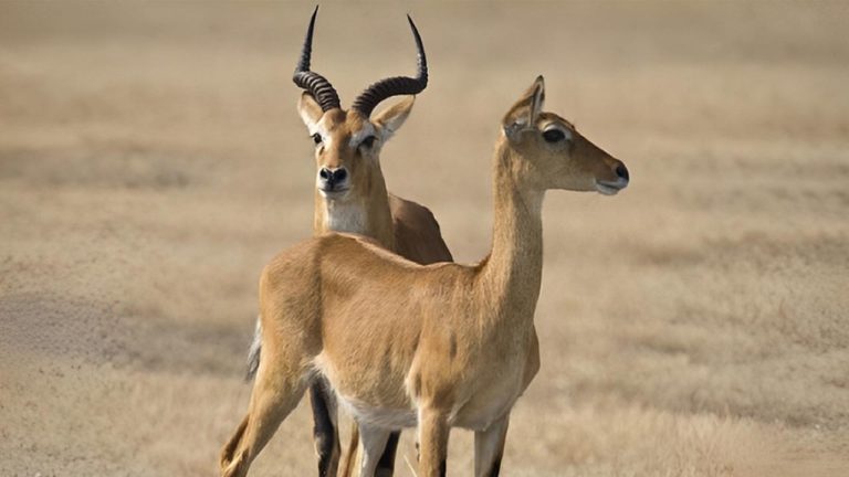 Top 13 Natural Wonders & Adventure Spots In Ghana