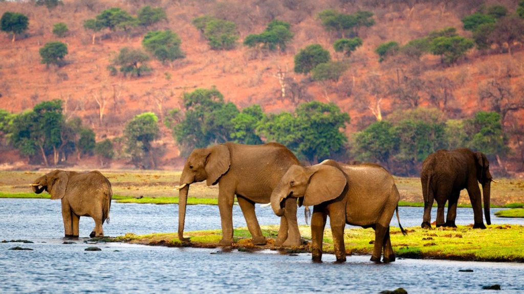 10 Most Popular Foods From Botswana