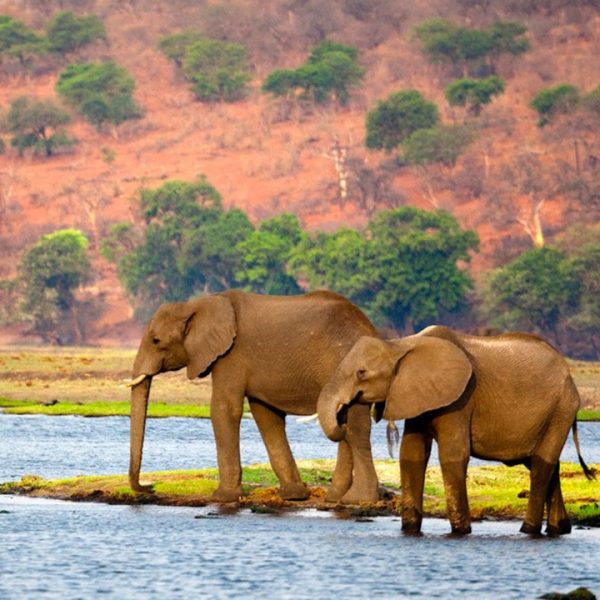 10 Most Popular Foods From Botswana